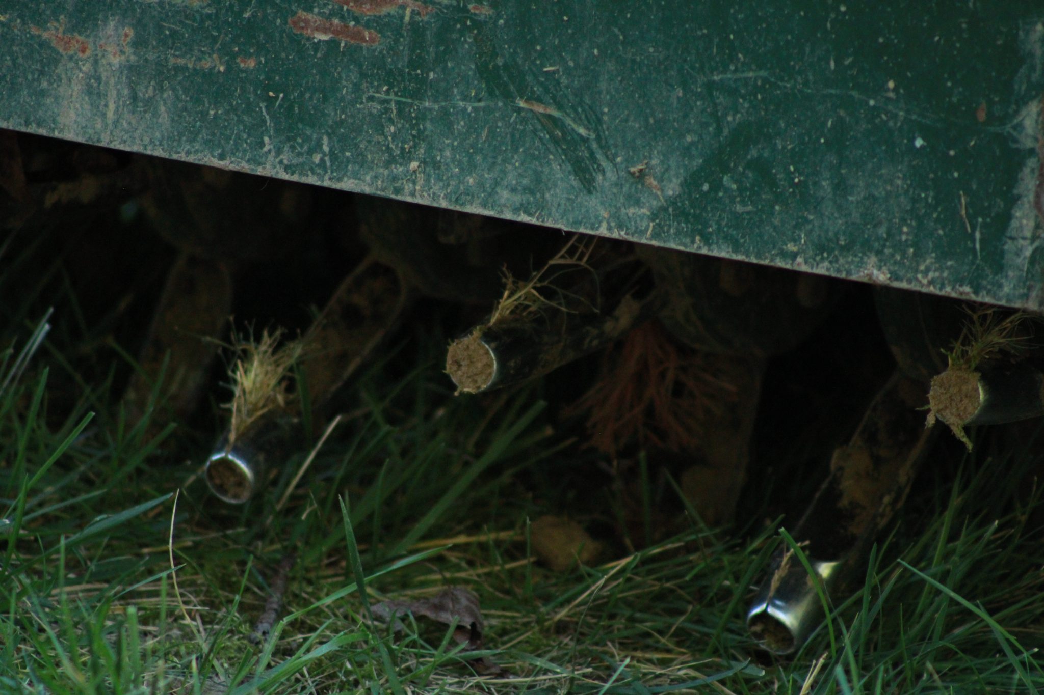 Professional Lawn Care Services | Healthy Green Lawns